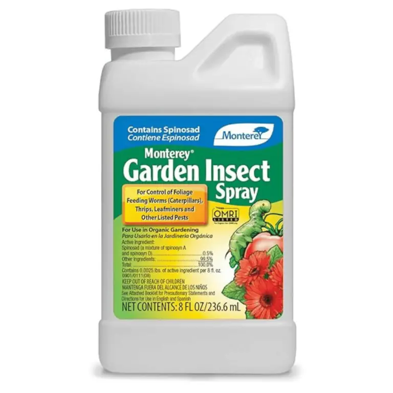 Top 5 Best Insecticides For Vegetable Gardens 2024