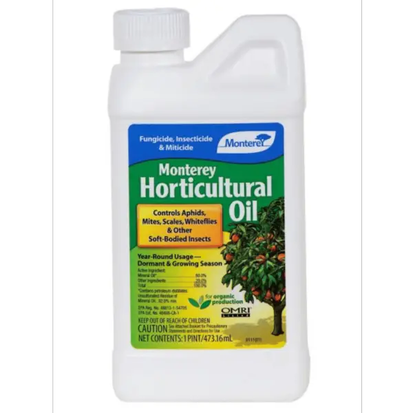 Top 5 Best Insecticides For Vegetable Gardens 2024